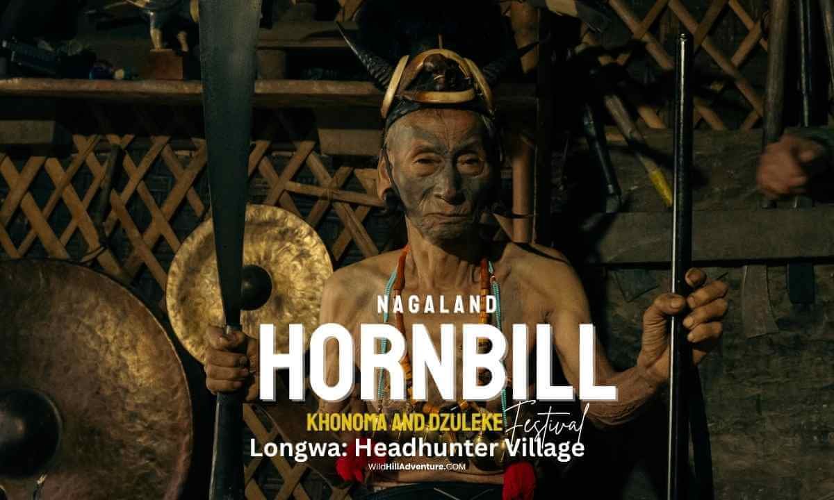 Longwa Village and Hornbill Festival 2025 | Experience the Heart of ...